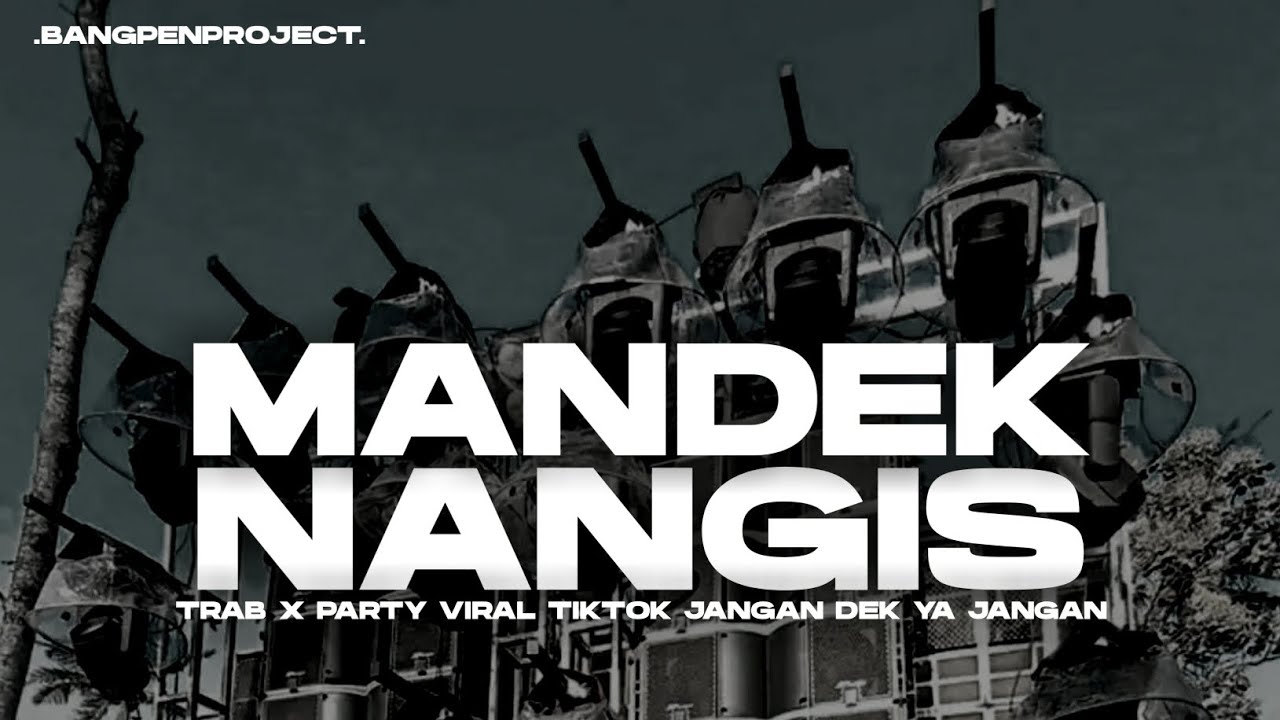 DJ MANDEK NANGES VIRAL TIK TOK JANGAN DEK YA JANGAN || BANG PEN PROJECT ...