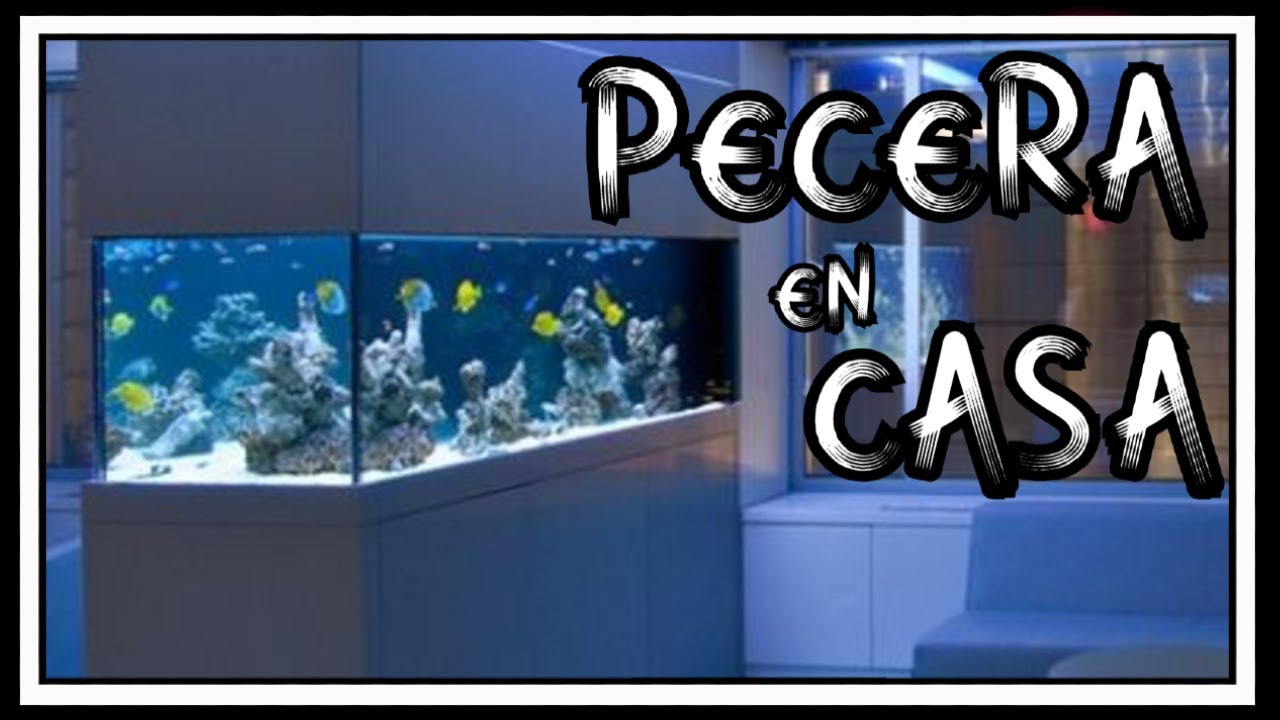 IDEAS PARA COLOCAR UNA PECERA EN CASA - YouTube
