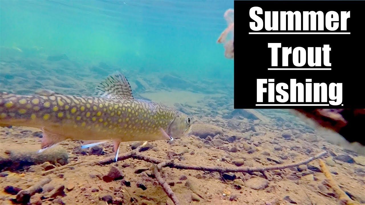 Trout Fishing In The Blue Ridge Mountains - YouTube
