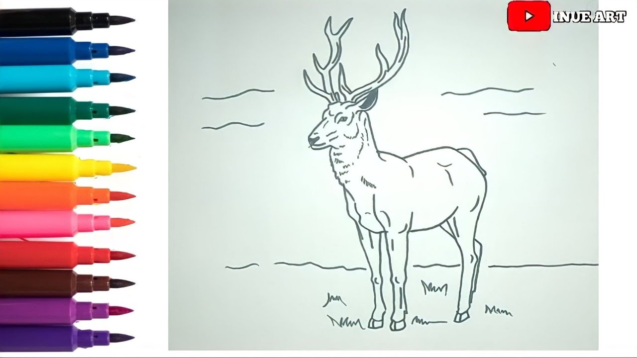 menggambar rusa| cara menggambar rusa mudah - YouTube