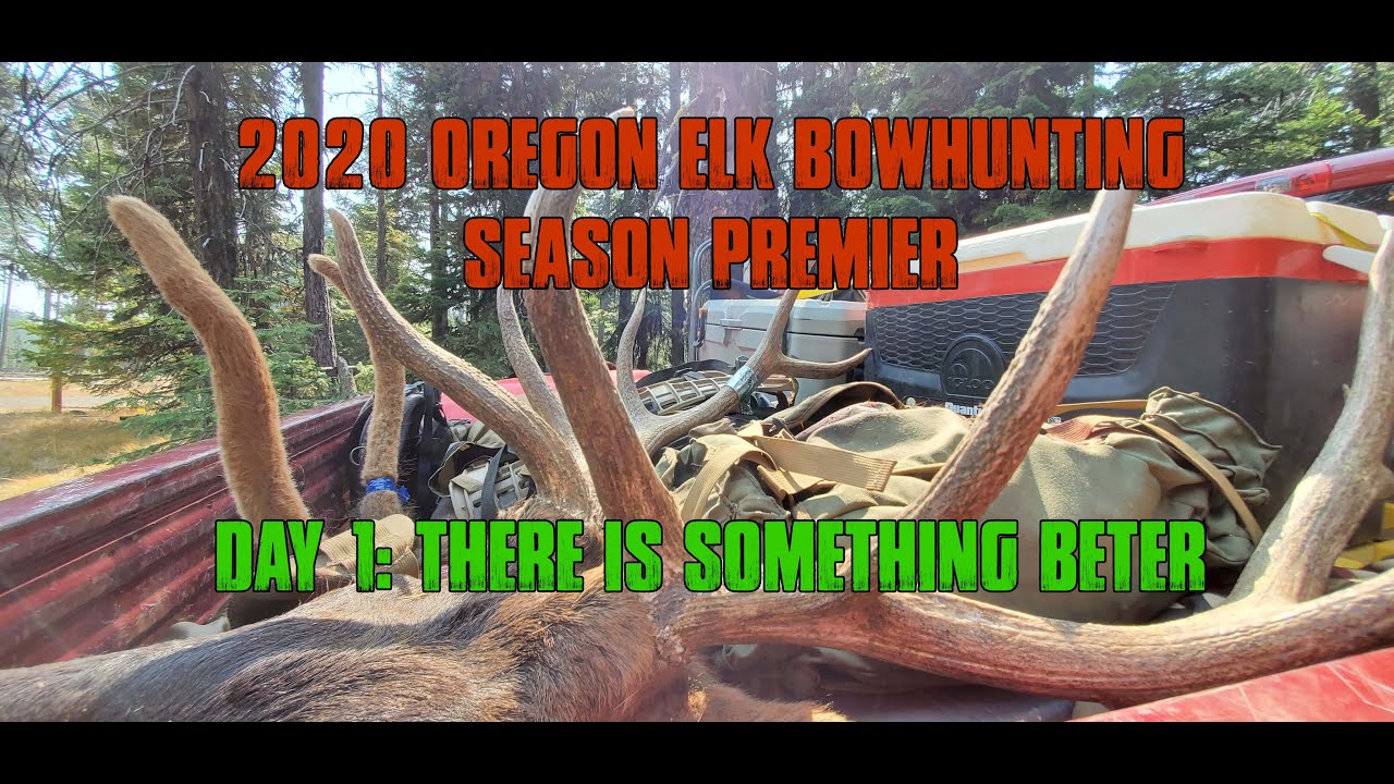 2020 Oregon Elk Bow Hunting Season Premier: Day 1 Living Life ... In ...