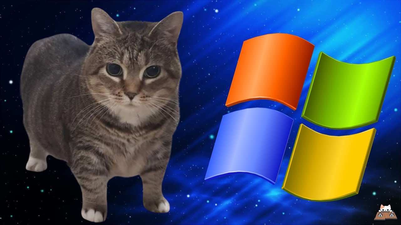 Microsoft Windows XP Startup Sound By OIIAOIIA CAT By OIIAOIIA CAT ...