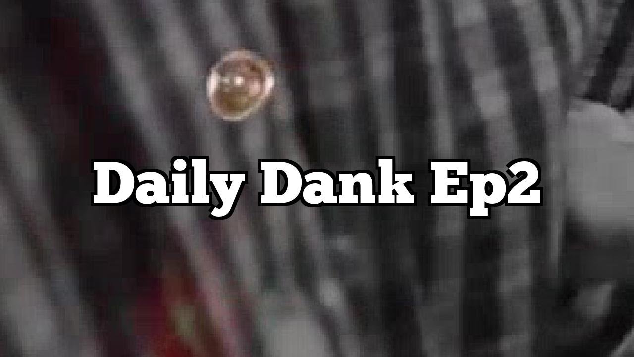 Daily Dank Ep2 - YouTube