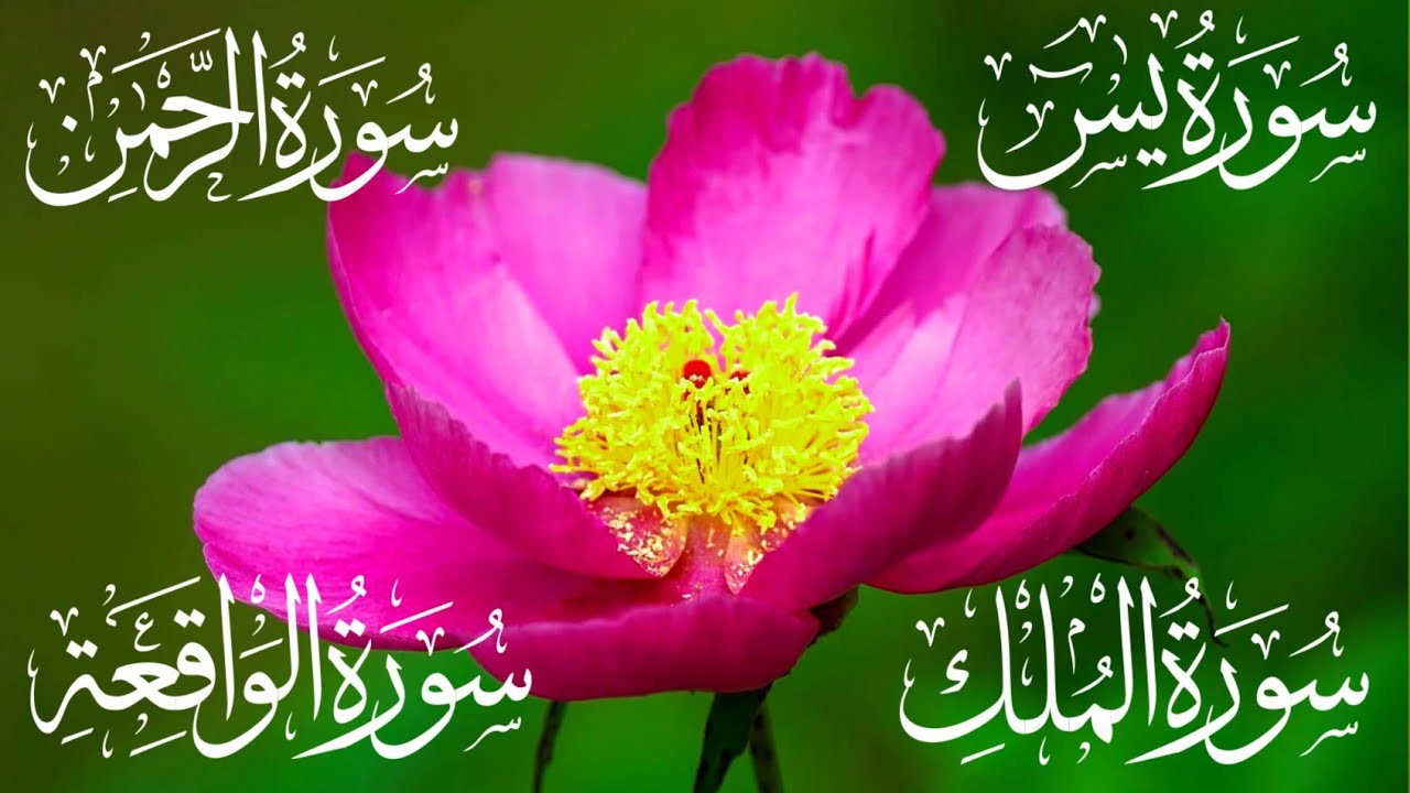 SURALH REHMAN | SURAH YASIN | SURAH MULK | SURAH WAQIA | BEAUTIFUL ...