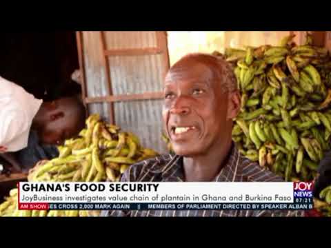 Plantain Value Chain - YouTube