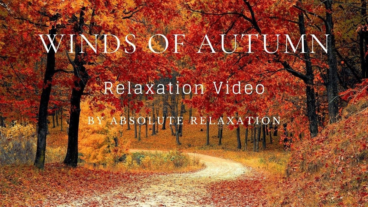 Winds of Autumn Relaxation Stress Anxiety Relief - YouTube