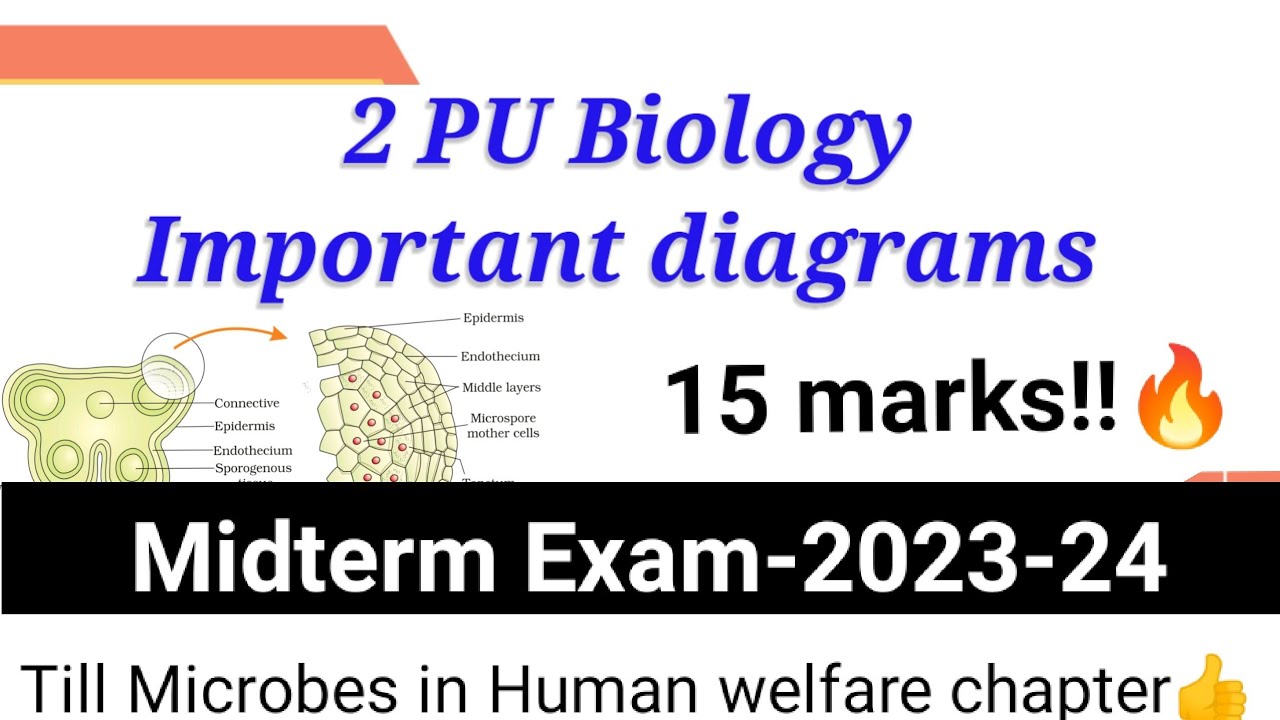 2 PU BIOLOGY|| IMPORTANT DIAGRAMS for MIDTERM EXAM 2023-24 ...