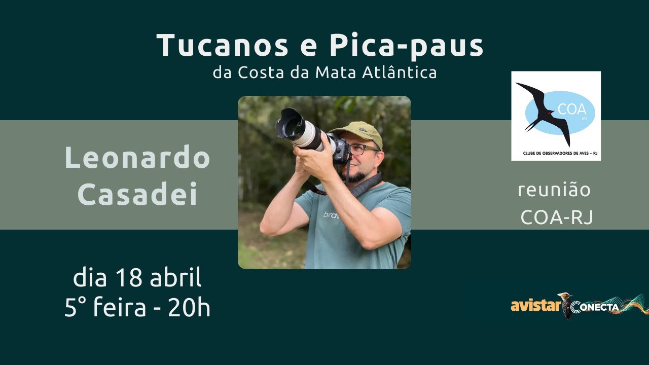 Reunião virtual COA-RJ - Tucanos e Pica-paus da Costa da Mata Atlântica ...