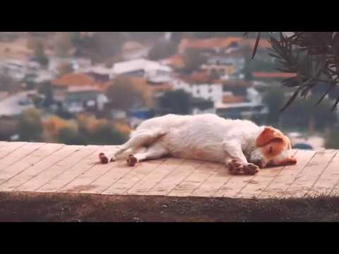 Soft Wave - Plenitude part 2 - YouTube