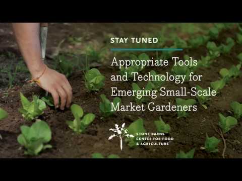 Appropriate Tools And Technology For Emerging Small-Scale Market ...