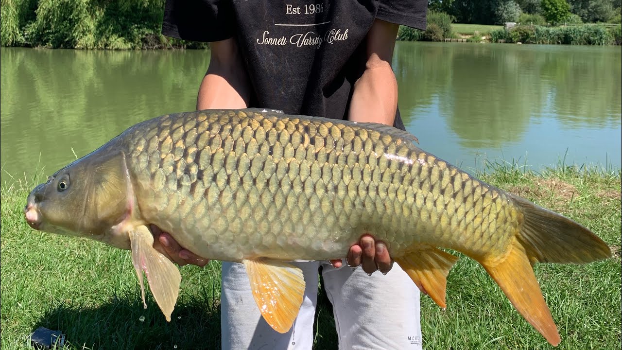 FISHING HERE AT MUSHROOM FARM (WE CAUGHT LOADS) - YouTube
