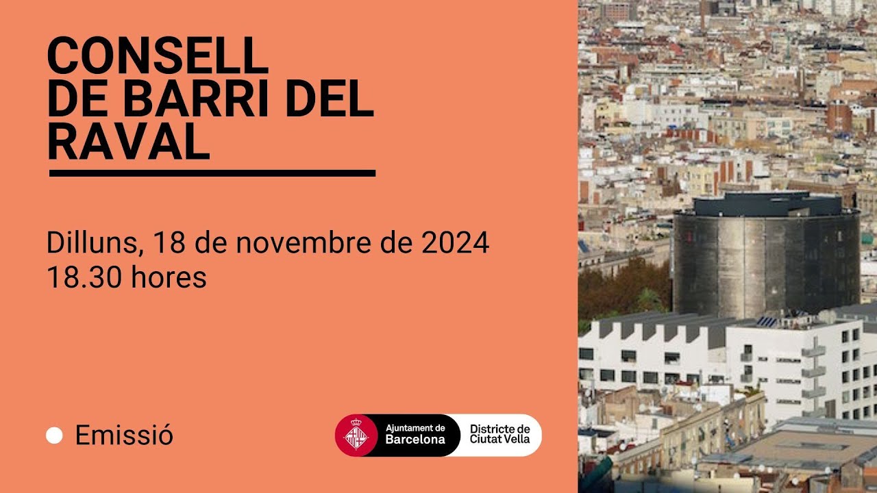 Consell de Barri del Raval, 18 de novembre de 2024 - YouTube