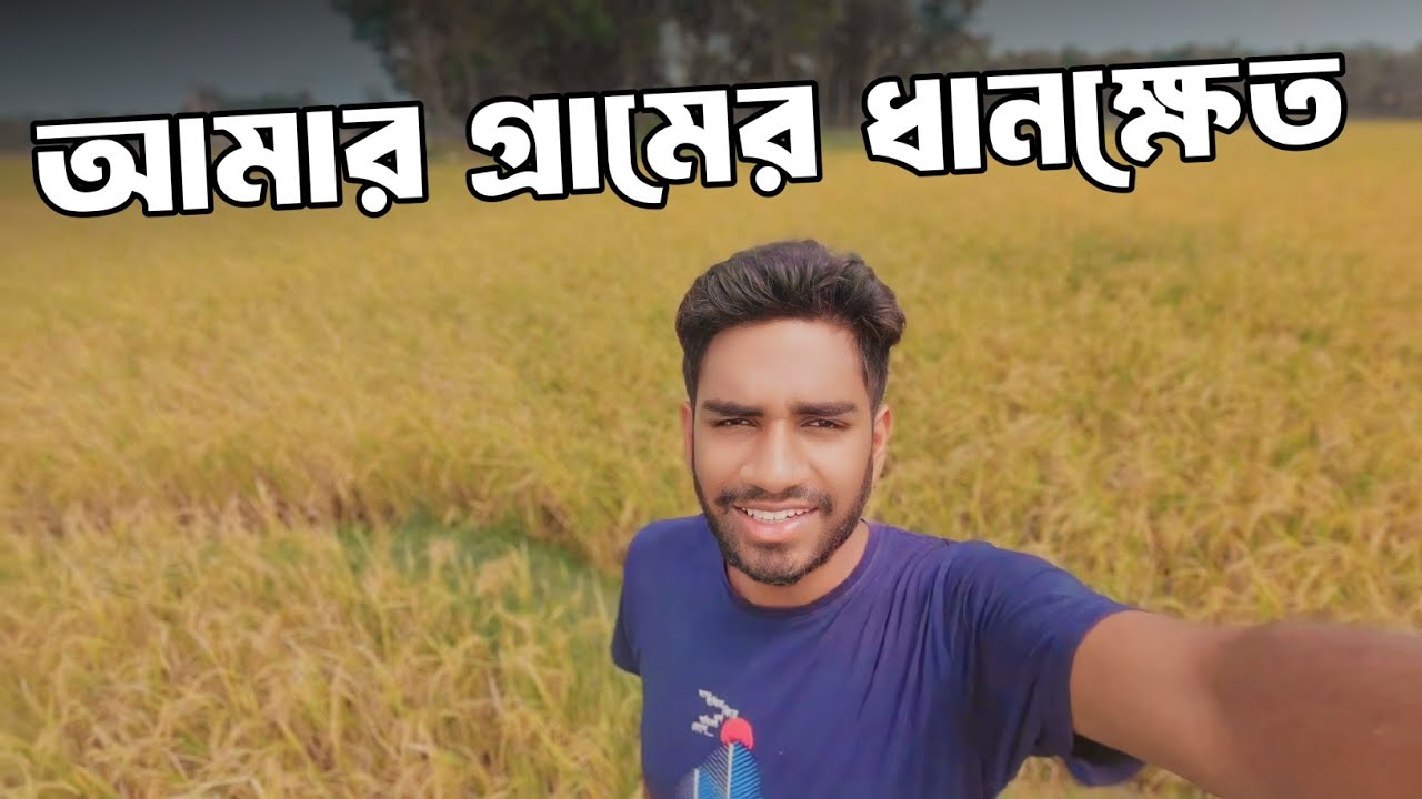 আমার গ্রামের ধানক্ষেত ।। Explore with Dhrubo - YouTube