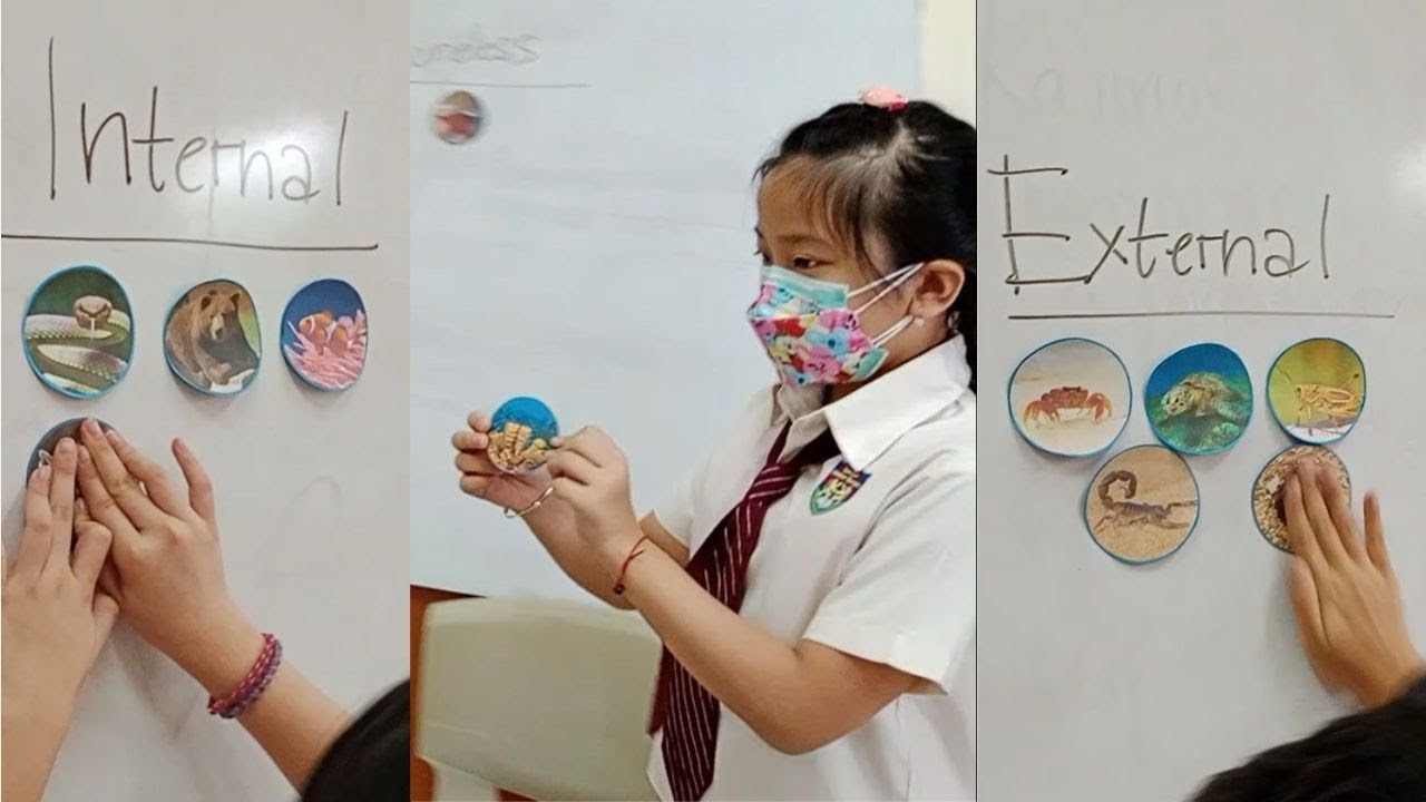 Grouping Animals Based on Their Bones (Primary 4 Science Class) - YouTube