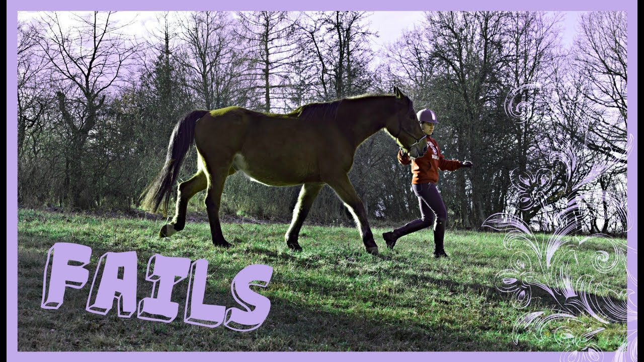 horse FAILS - YouTube