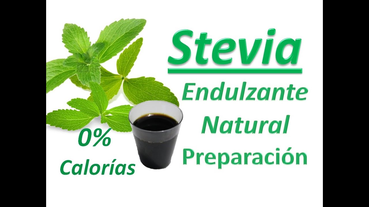 Cómo Hacer Stevia Casera - Endulzante Sin Calorías - YouTube