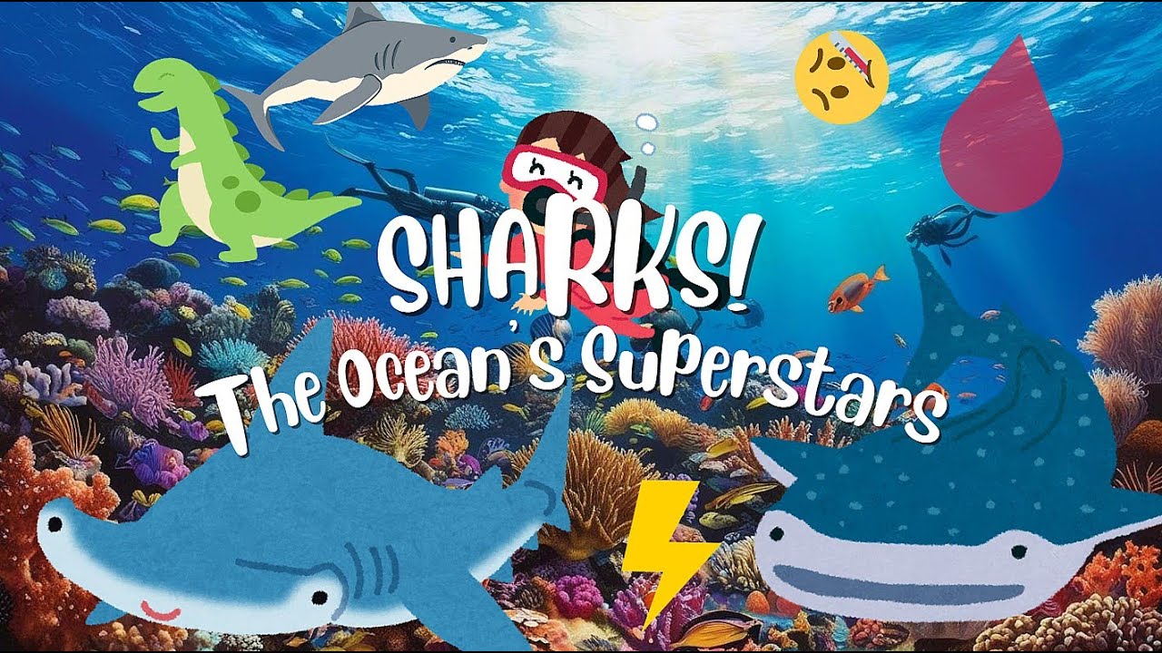 Sharks! The Oceans Superstars | Kids Learning Videos | Kids Videos ...