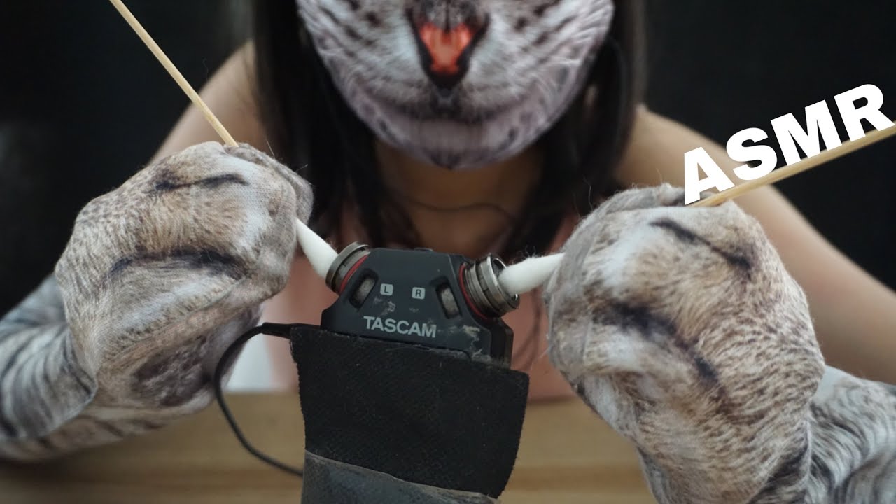 ASMR Cat Cleaning your Ear with Cotton buds ~ ASMR Thai แมวมาแคะหูแบบ ...