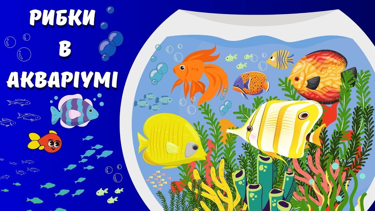 Рибки в акваріумі. Малювання для дітей. - YouTube