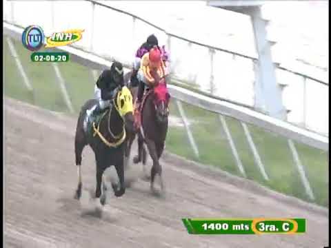 3° Carrera - Hipódromo La Rinconada - 2 de Agosto 2020 Cortesía de OficialINH