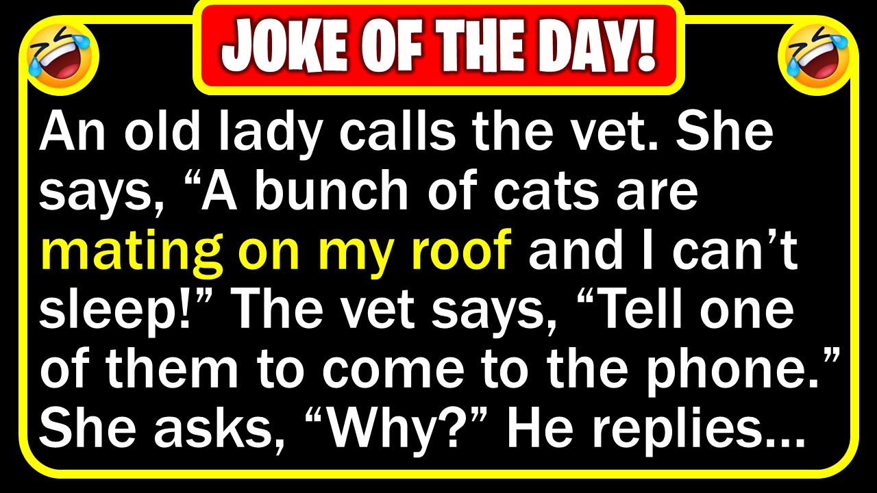 🤣 BEST JOKE OF THE DAY! - A veterinarian has a really bad day at the ...