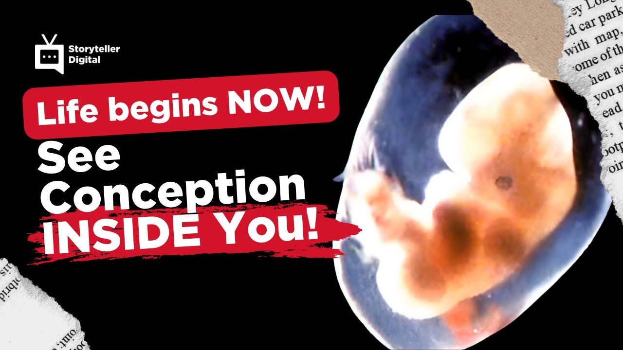 Witness the Miracle of Life UNFOLD! See the MOMENT of CONCEPTION ...