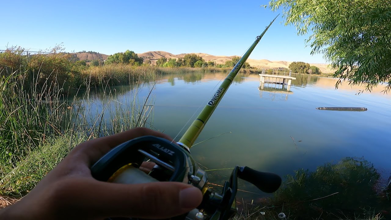 Fishing Perfect Conditions For Big Bass (Lake Ming)(Hart Park Lake ...