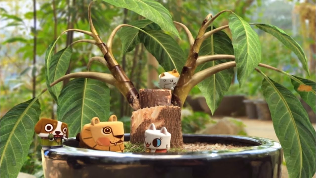 Canimals - EP 3 - Wild Can/Lata Salvaje - YouTube