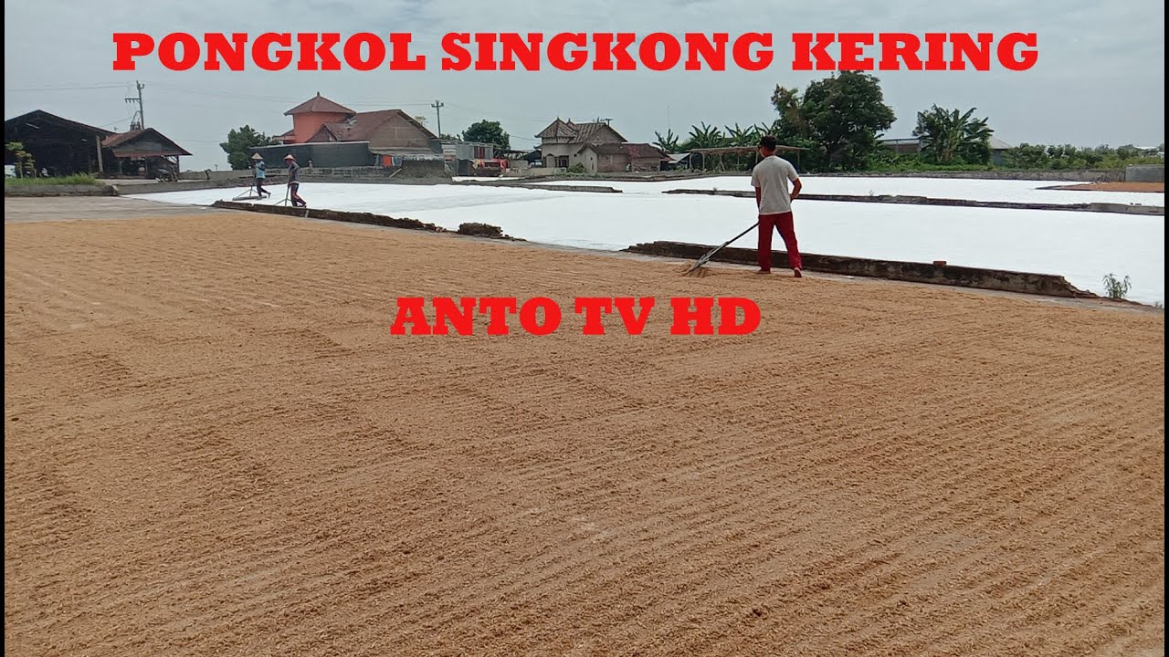 Pongkol Singkong Kering A1 - YouTube