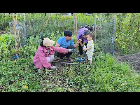 On her day off, Bao helped Man work in the vegetable garden.