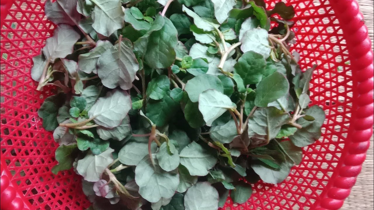 (নতুন) শাক ভাজা রেসেপি How to make sak vaja Recipe - YouTube