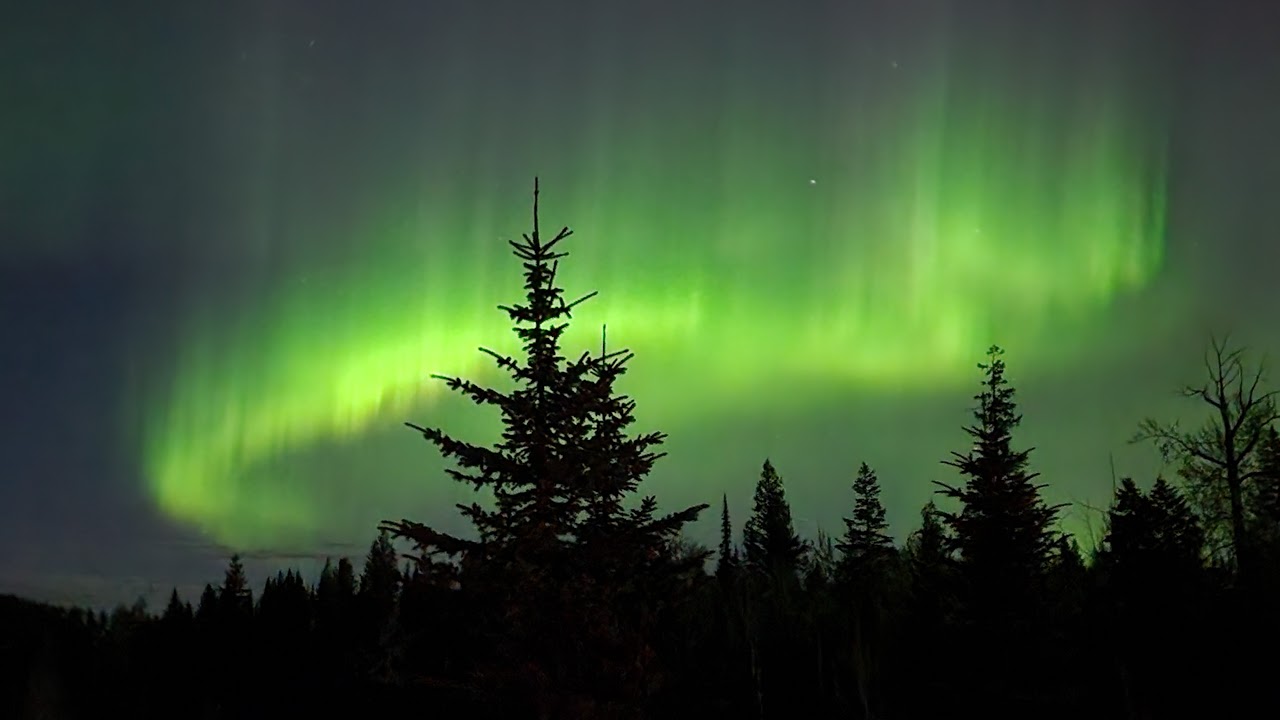 brooklyn sayers Live Stream - YouTube