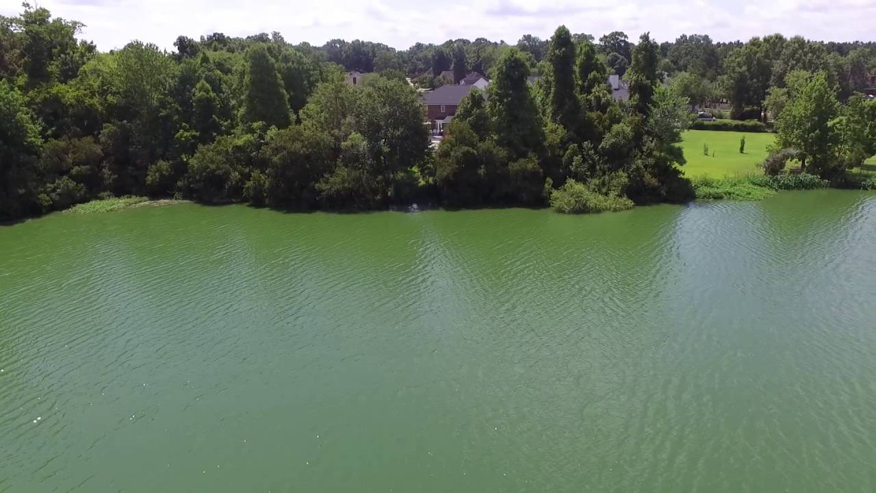 Crowfield Plantation Lake, Goose Creek, SC - YouTube