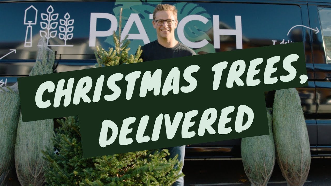 Patch | Christmas trees, delivered 🎄 - YouTube