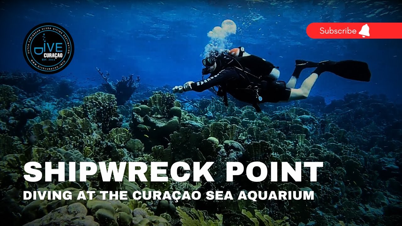 Shipwreck Point Curacao | Dive Guide Curacao | Dive Travel Curacao ...