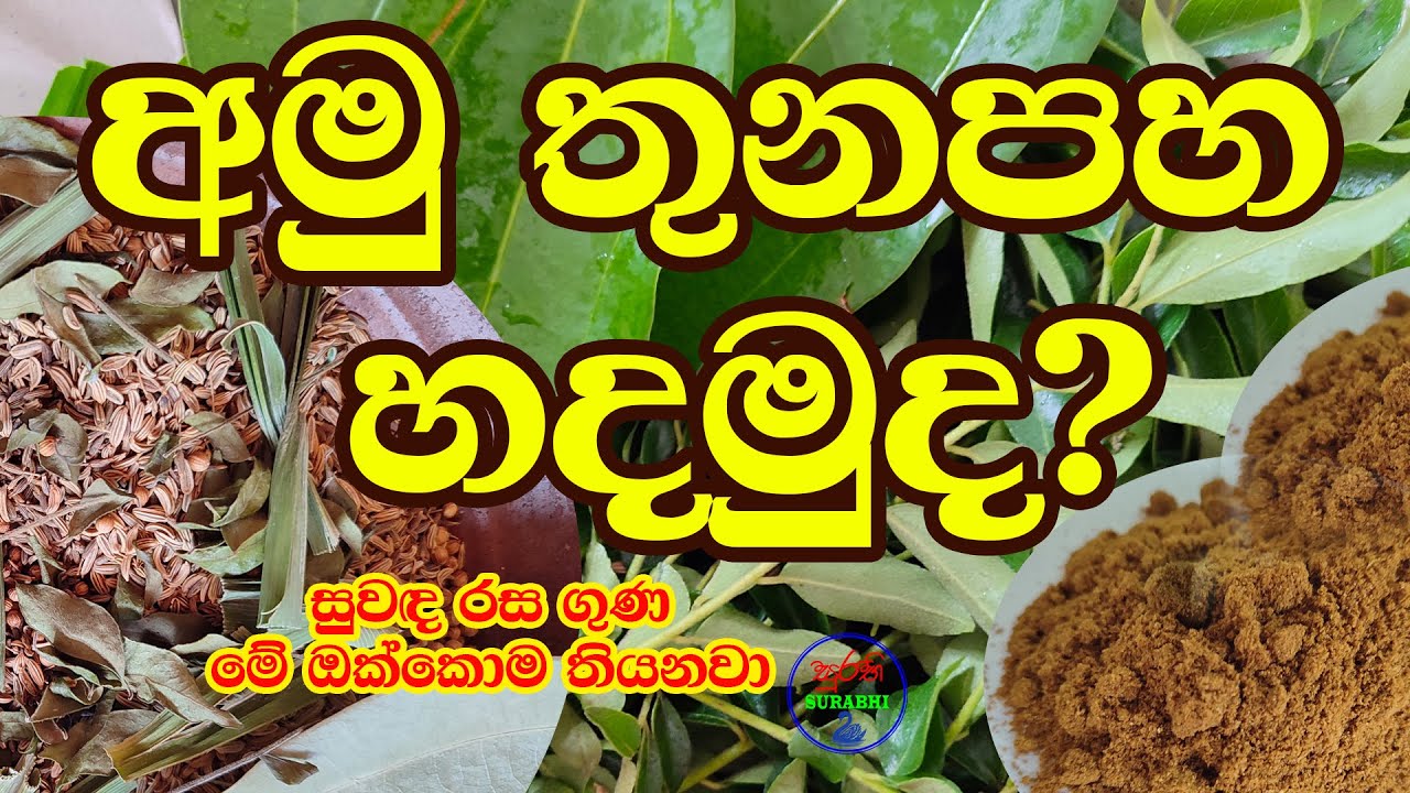 අමු තුනපහ හදන විදිහ/Curry powder/Amu thunapaha - YouTube