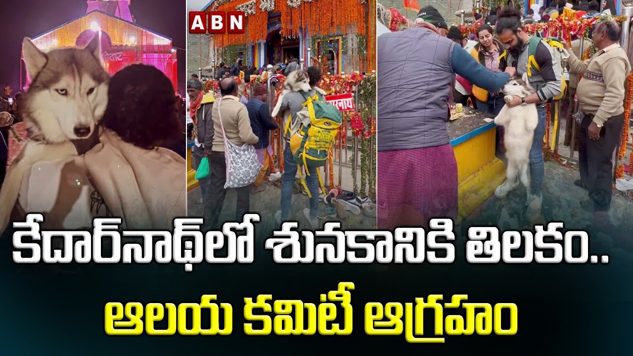 కేదార్‌నాథ్‌లో శునకానికి తిలకం.. ఆలయ కమిటీ ఆగ్రహం || Kedarnath Dog ...