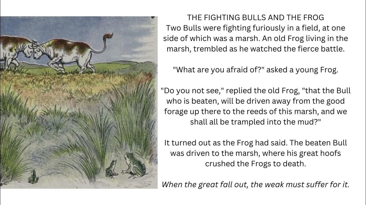 The Fighting Bulls and the Frogs An Aesop's Fable - YouTube