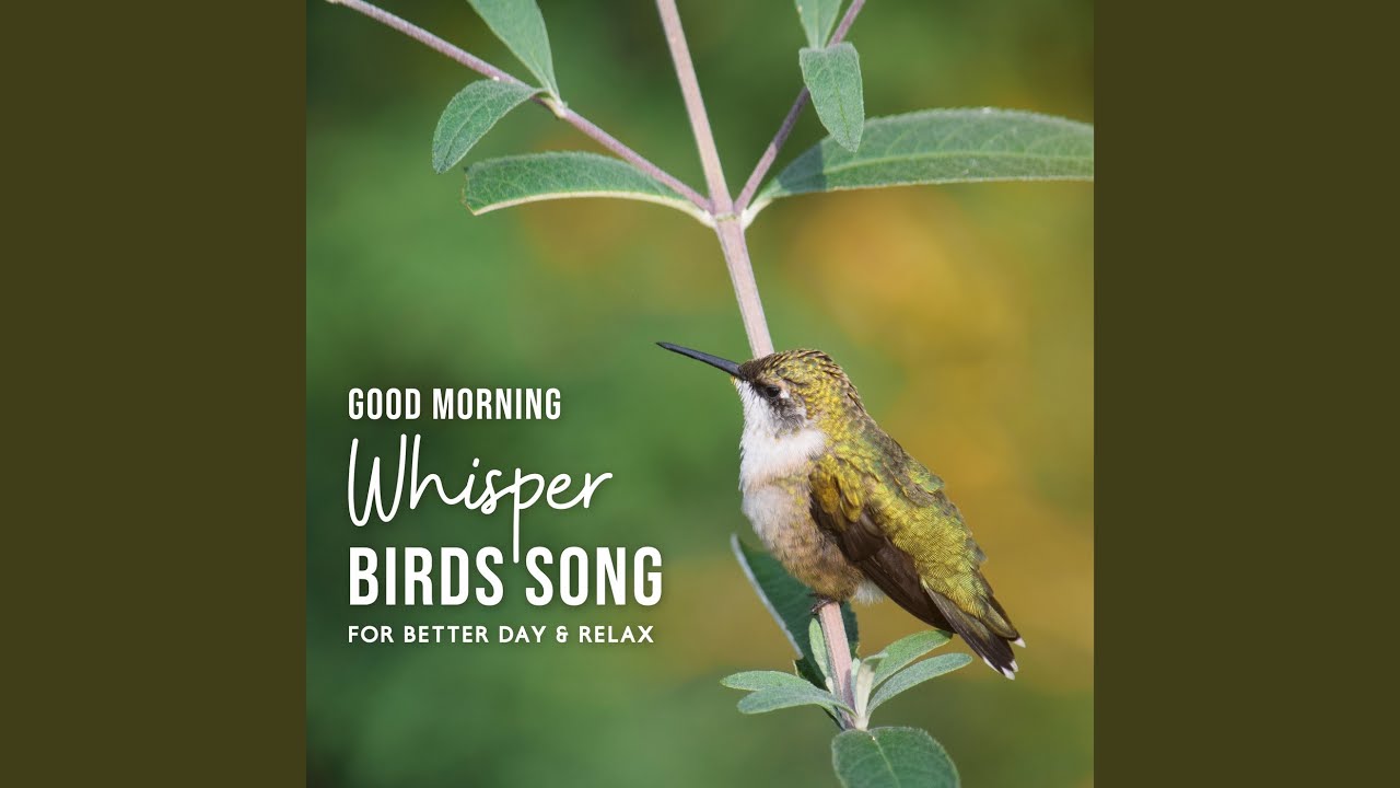 Good Morning (Bells, Birds) - YouTube