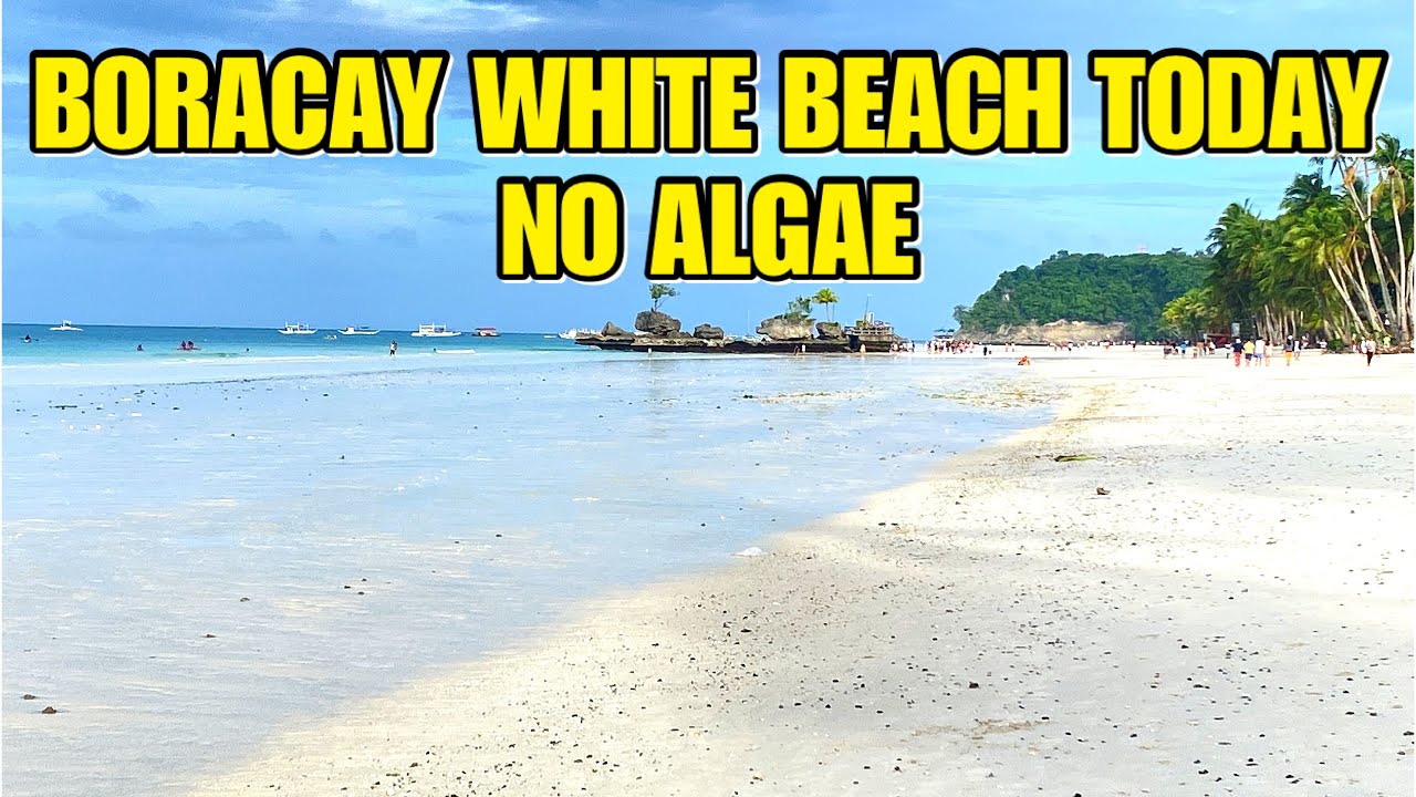BORACAY TODAY- NO ALGAE AT STATION 1 - YouTube