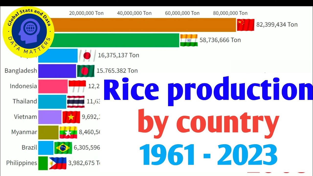 Top Rice Producing Countries 1961 - 2023 - YouTube