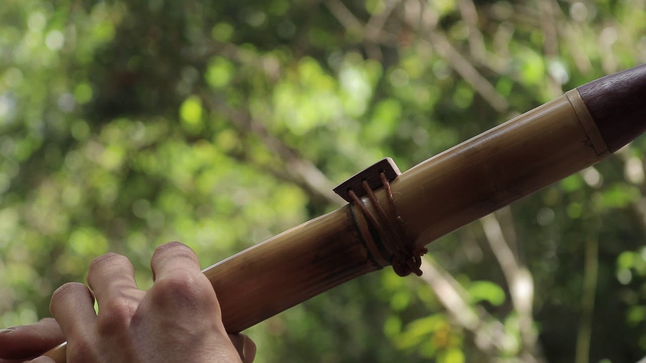 Pacu Sessions - flute impro - YouTube