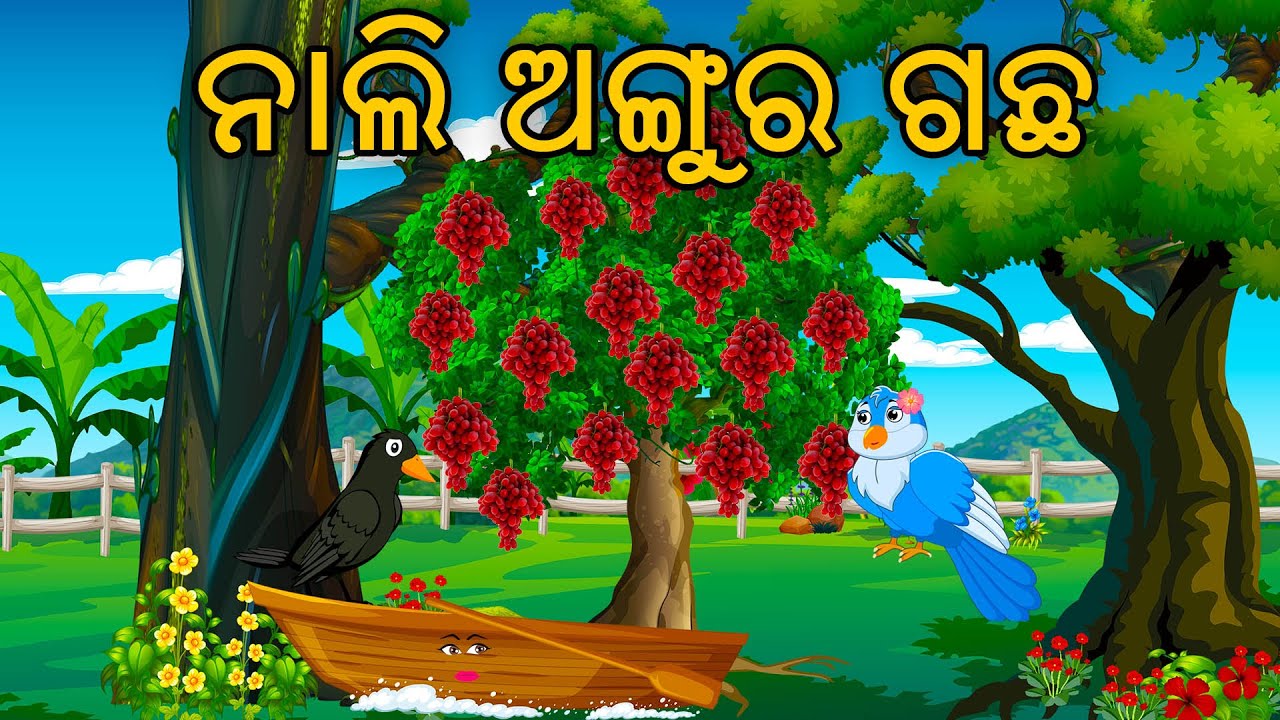 Nali Angur Gacho | Birds Story | Zoo Joo TV | Tiki Chadhei Gapo | Odia ...