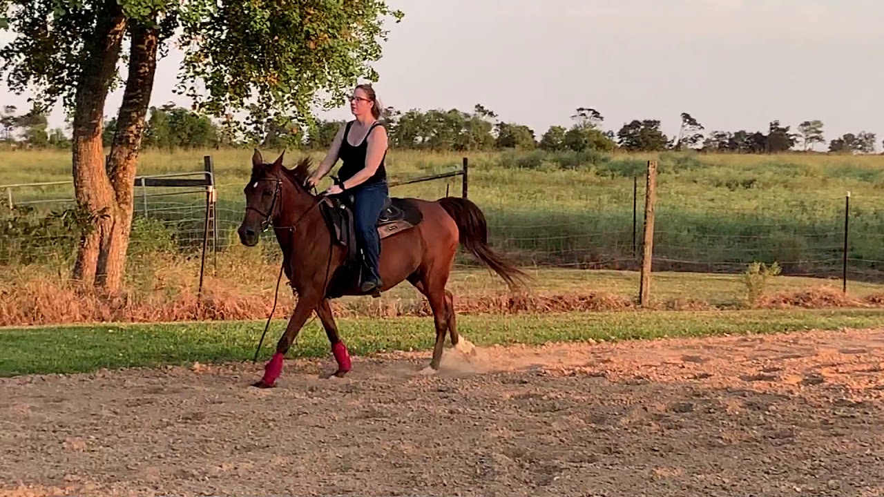 Canter to hand gallop with Ali and Summer - YouTube
