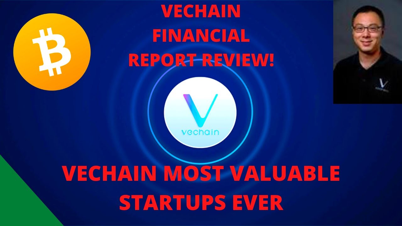 VECHAIN IS ONE OF THE MOST VALUABLE STARTUPS EVER! VECHAIN FINANCIAL REPORT DEEP DIVE! - YouTube