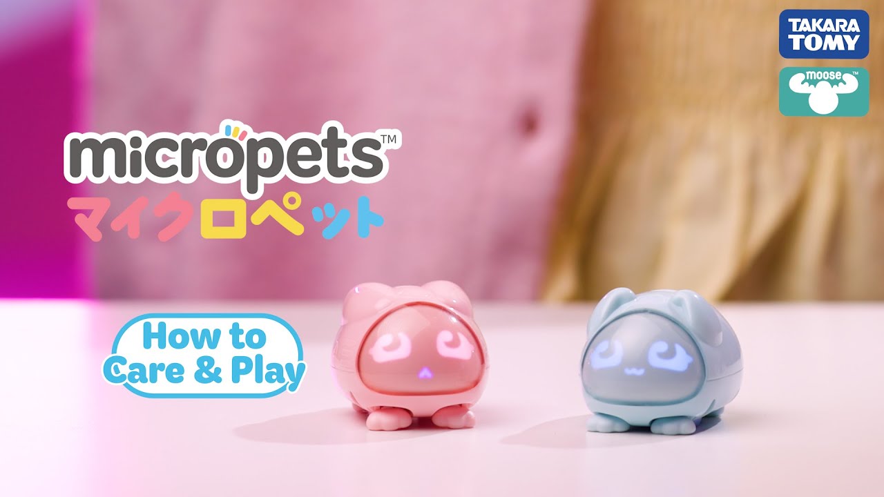 MICROPETS | HOW TO CARE AND PLAY - YouTube