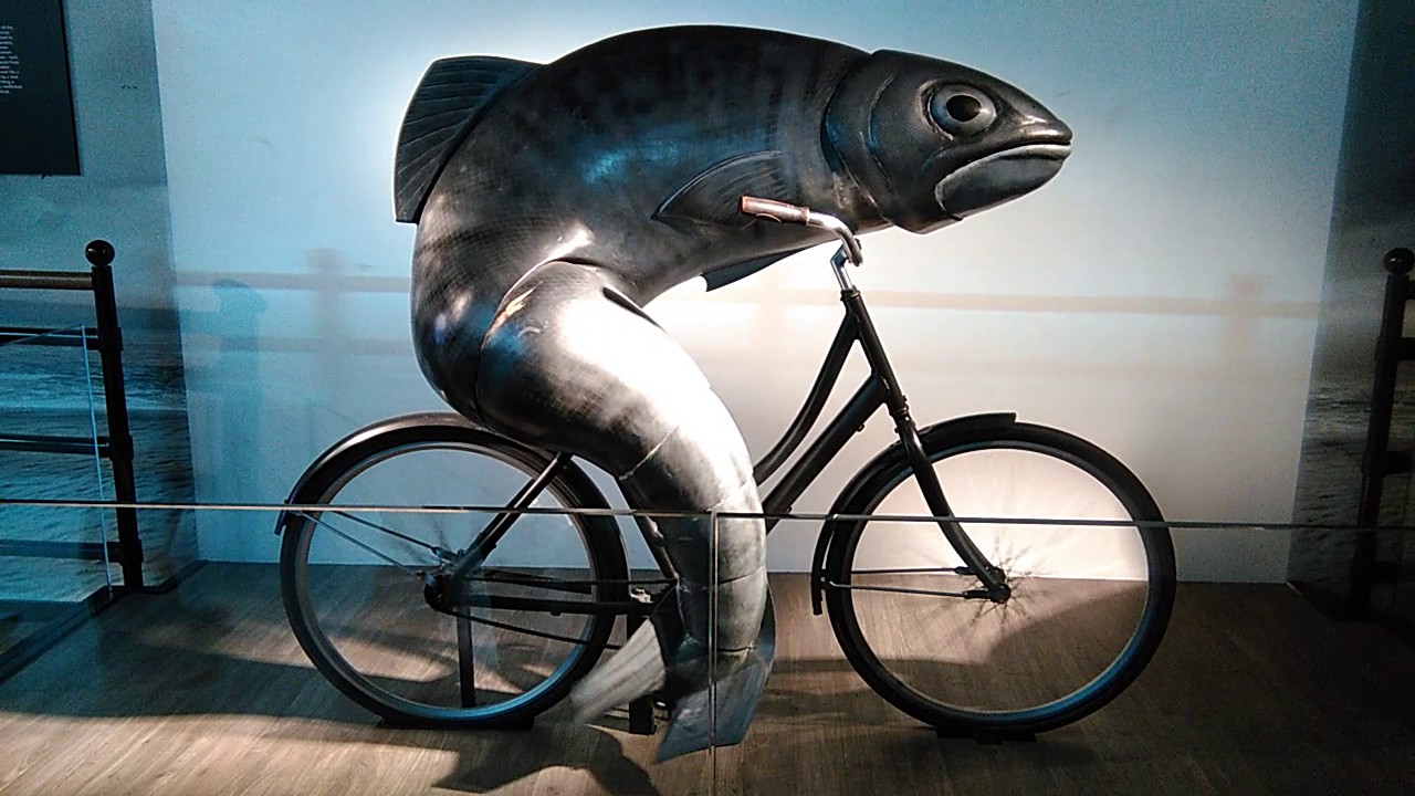 Guinness storehouse fish on a bike - YouTube