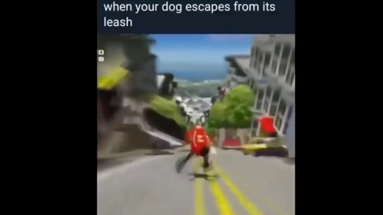 When your dog escapes from its leash meme - YouTube