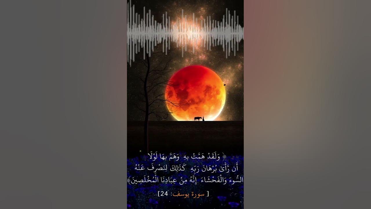 ولقد همت به وهم بها لولا أن رأى برهان ربه سورة يوسف الاية 24 Youtube