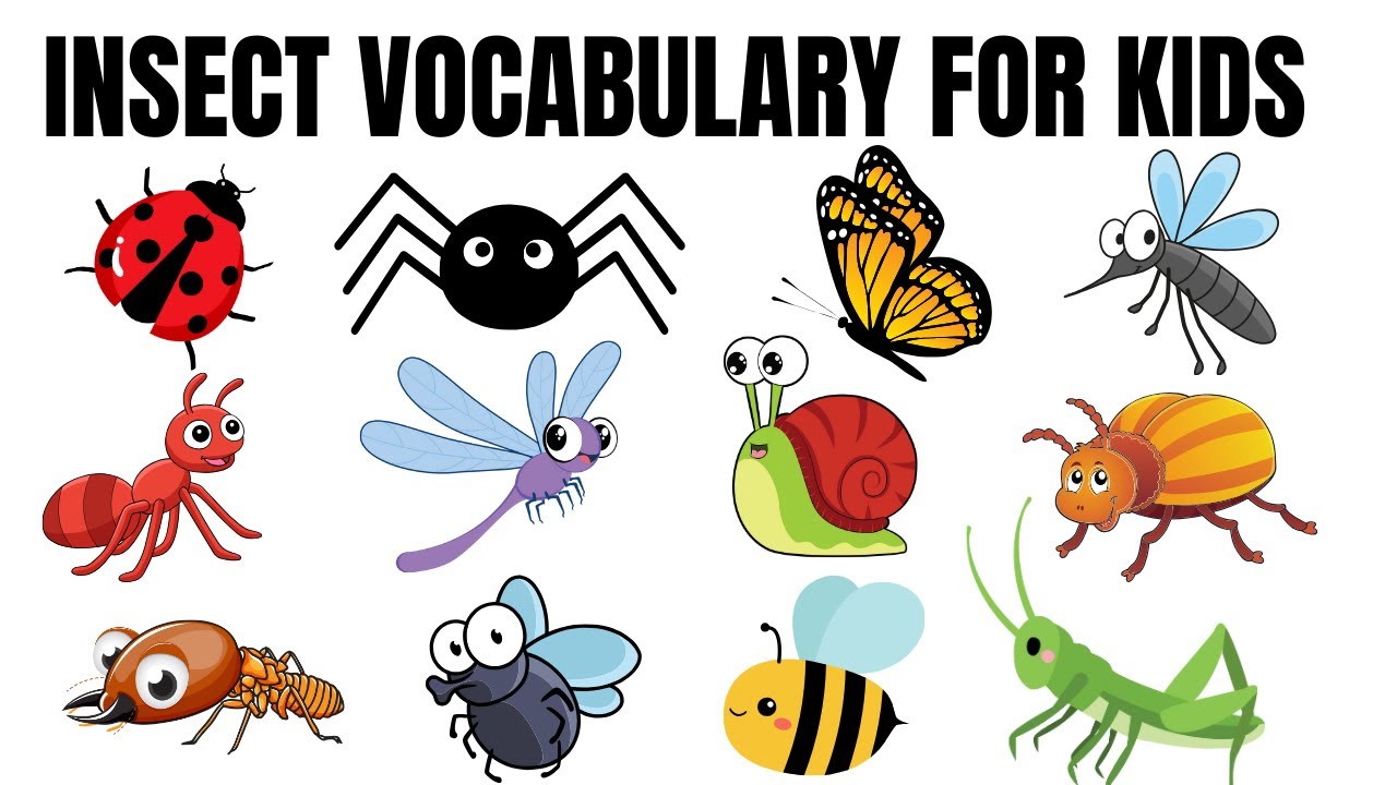 "Insect Adventures for Curious Kids: Discovering Ants, Butterflies, and ...